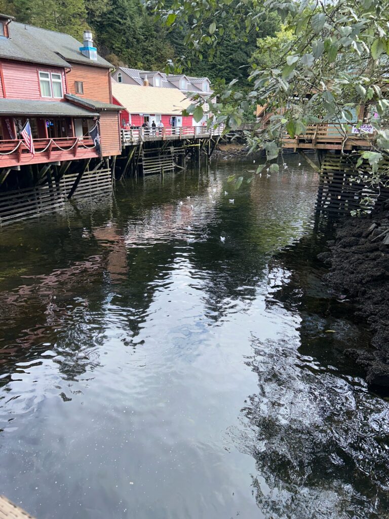 Alaska Shore Excursions Guide